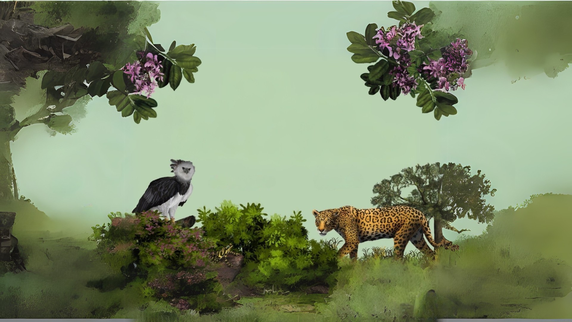 BioMuseo: Darien Peninsula exhibit - CORA Foundation